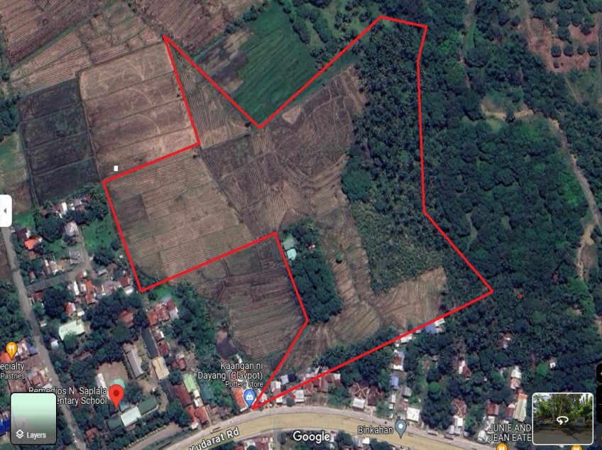 4-Hectare Land Beside National Highway Of Digos City Barangay Matti