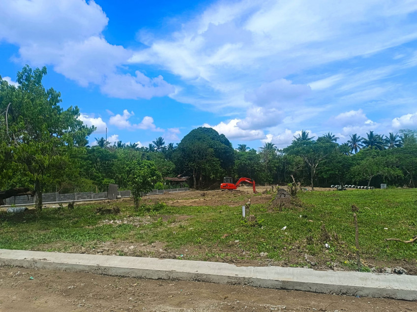 Small Cut Lot For Sale In Indang, Cavite