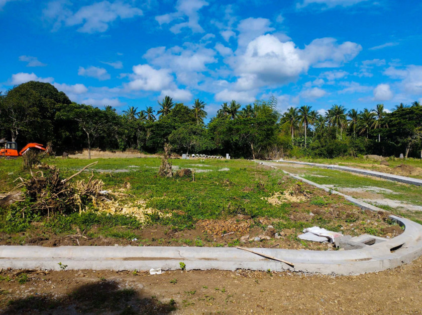Small Cut Lot For Sale In Indang, Cavite