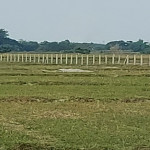 2 -Hectare Land In Capas, Tarlac