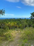 For Sale Overlooking Lot With Sea View In Bohol
