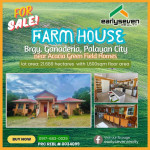 For Sale Farm House With With Swimming Pool In Palayan, Nueva Ecija