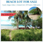 Beach Lot for Sale in Tuyan, Naga